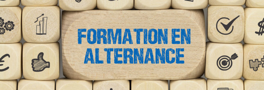 formations scolaires en alternance